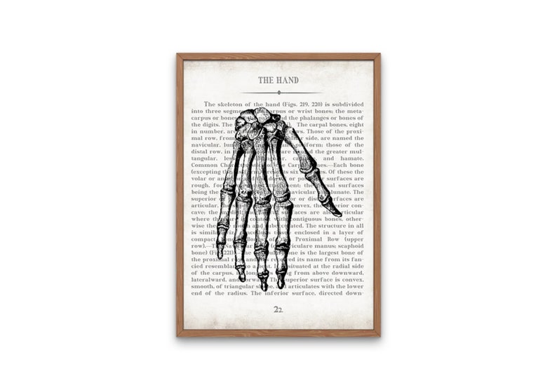 Hand Elbow Shoulder Vintage Anatomy Art Print Set of 3 - Etsy