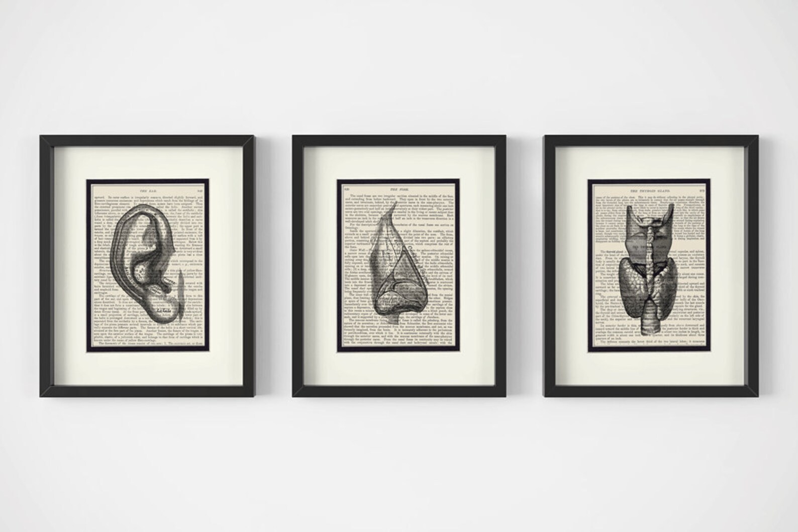 ENT Gift Ear Nose and Throat Vintage Anatomy Book Page Art | Etsy