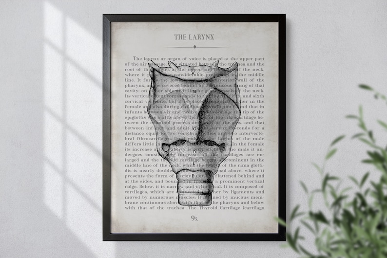 Vintage Larynx Anatomy Art Print: Speech Therapy Gift - Etsy