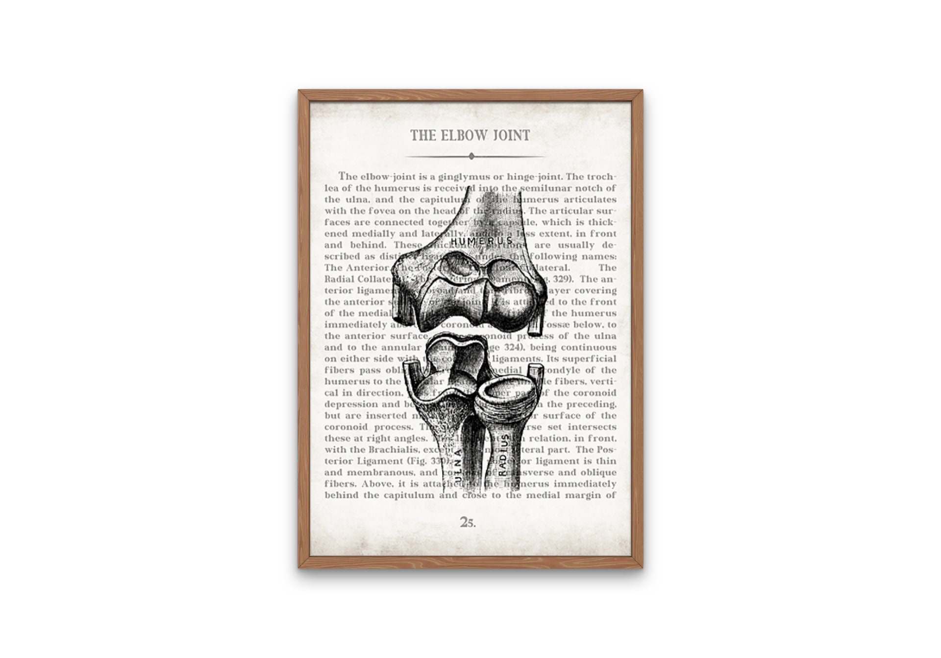 Vintage Anatomy Art Print Set: Hand, Elbow, Shoulder - Physical Therapy ...