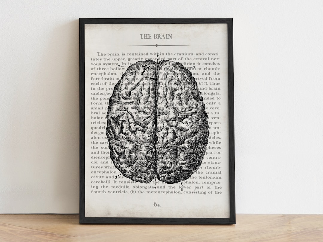 Vintage Anatomy Brain Art Print: Neurologist Gift, Medical Decor - Etsy