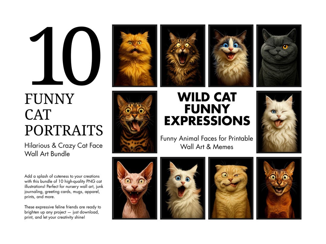 10 JPEG Funny Cat Expression | Clipart Prints for DIY and Decor - Etsy