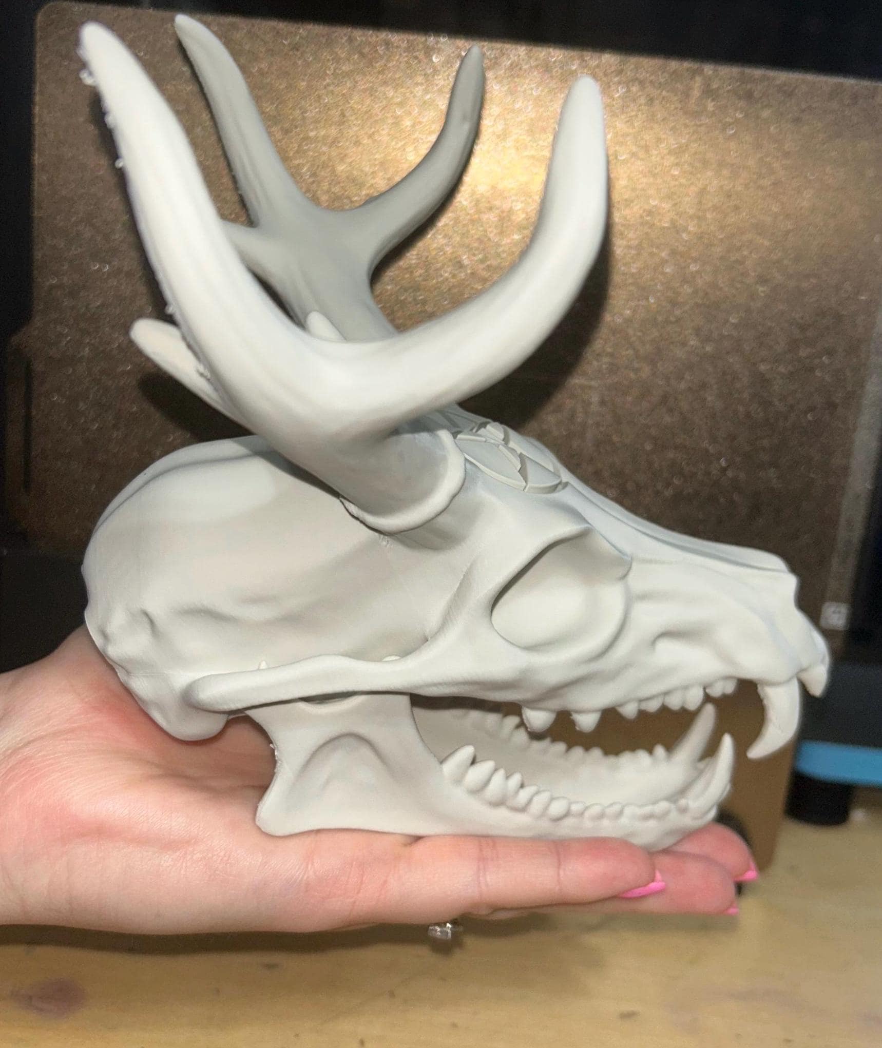 Wendigo Skull - Etsy