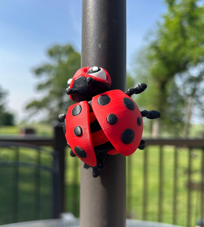 Magnetic Flexi Ladybug – 3D Printed Fidget Toy or Fridge Magnet - Etsy