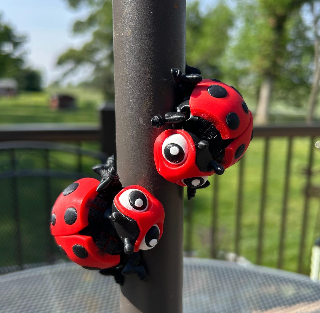 Magnetic Flexi Ladybug – 3D Printed Fidget Toy or Fridge Magnet - Etsy