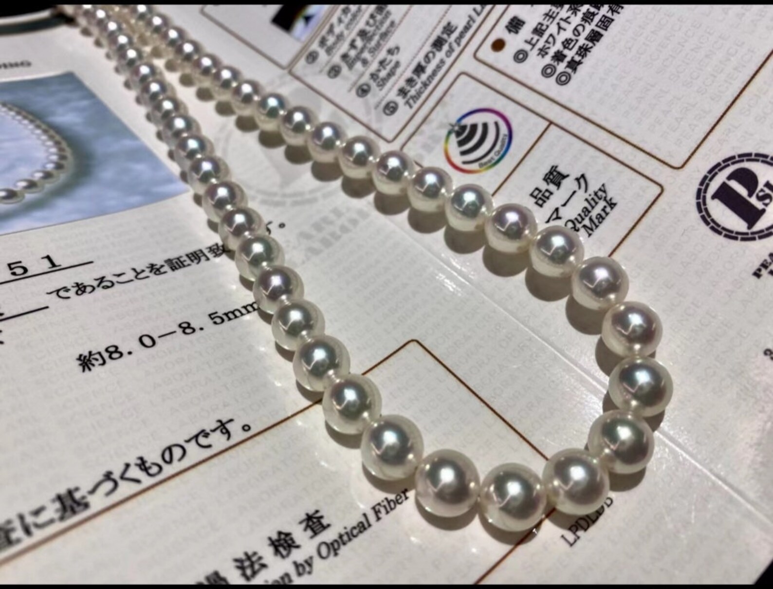 Aurora Tennyo 天女 Japanese Akoya Pearl Necklace Pearl Science - Etsy