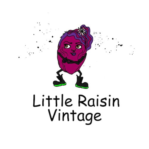 littleraisinvintage - Etsy