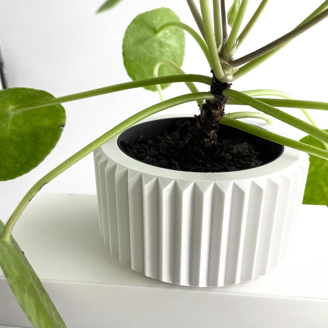Planter Pot, Contemporary Indoor Holder, Minimalist Succulent, Elegant ...