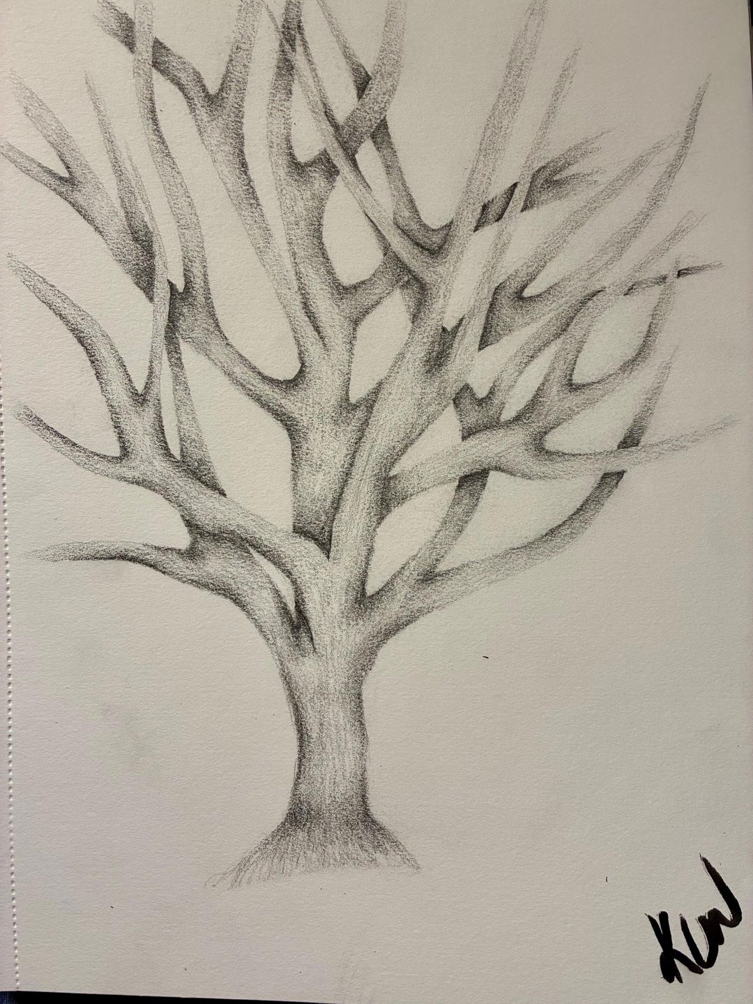 Simple Graphite Drawing of Tree - Etsy