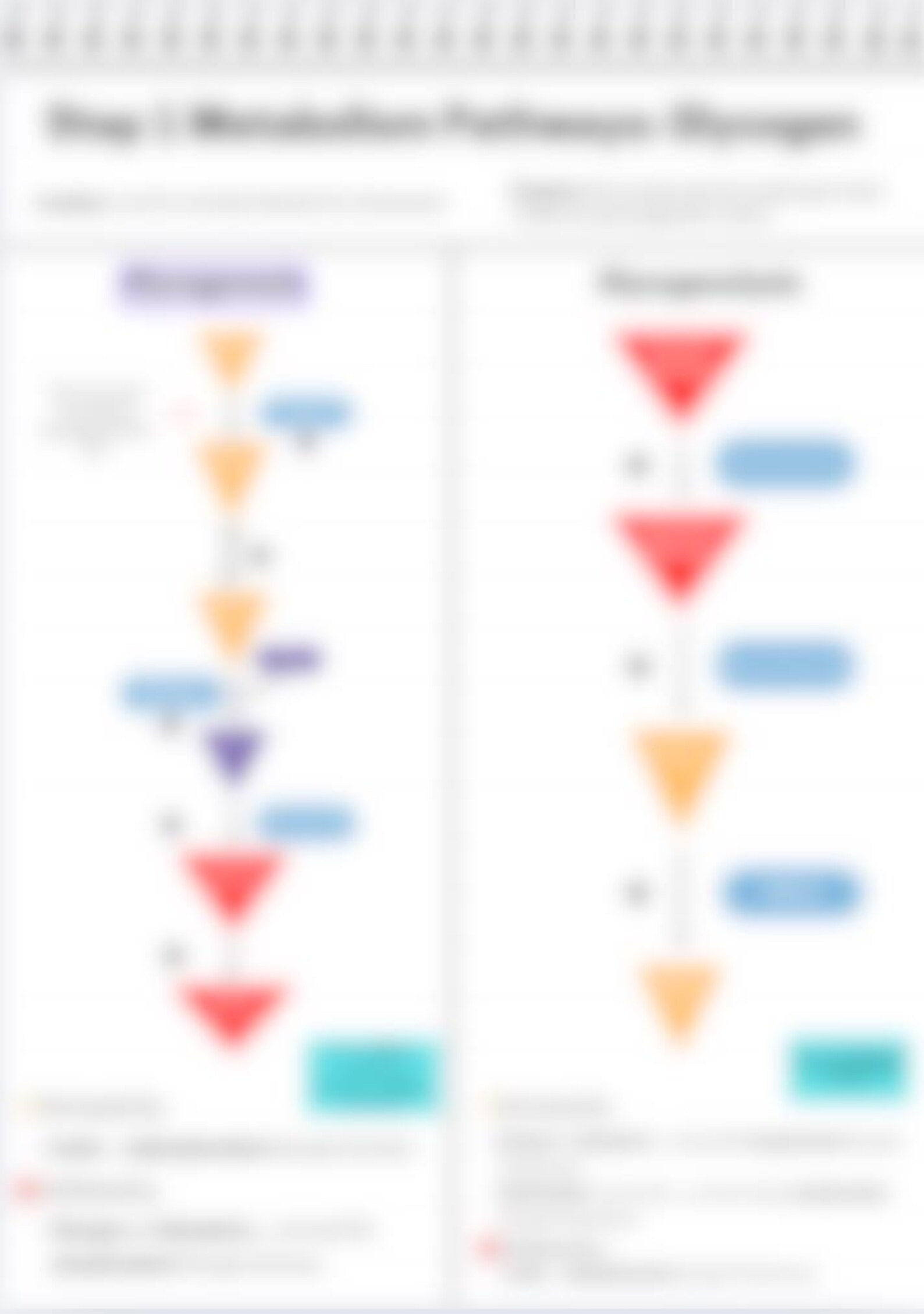 USMLE Step 1 Cheat Sheets: Glycogen + Mcqs - Etsy