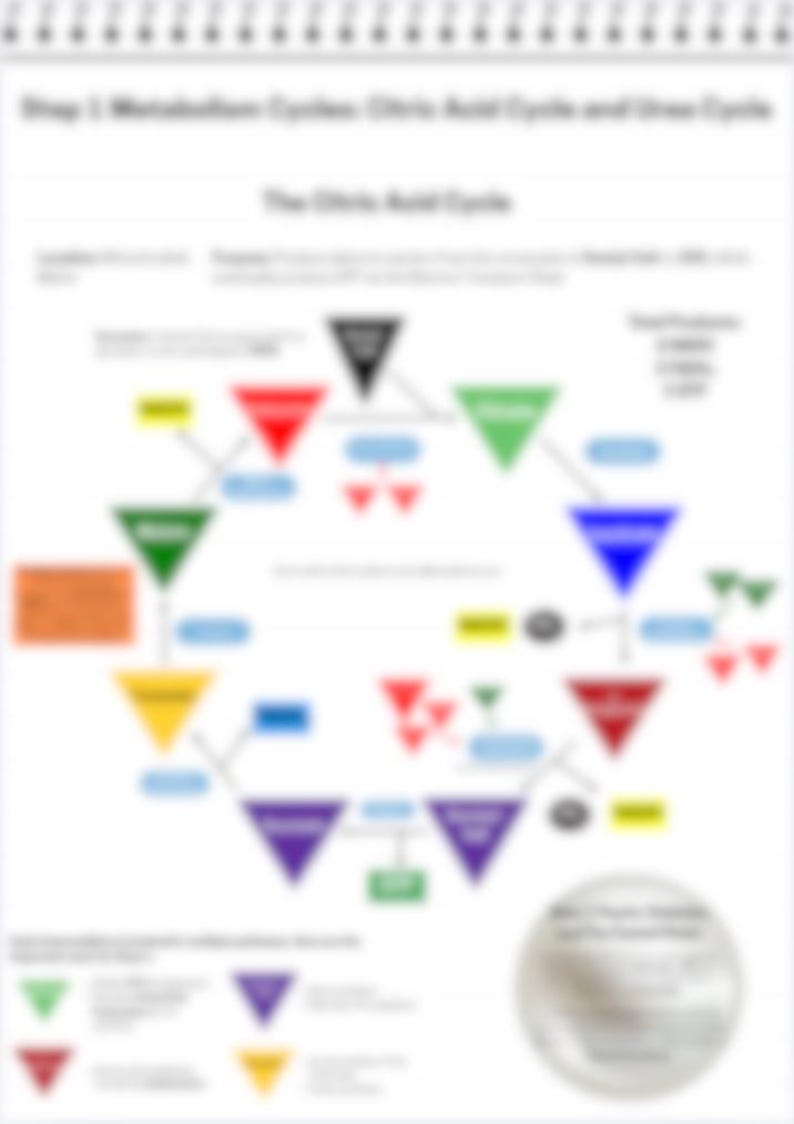 USMLE Step 1 Cheat Sheets: the Citric Acid Cycle and the Urea Cycle - Etsy