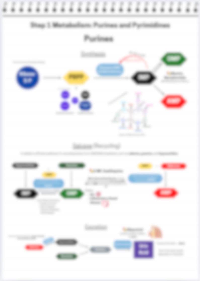 USMLE Step 1 Cheat Sheets: Purines and Pyrimidines + Step-style Mcqs - Etsy