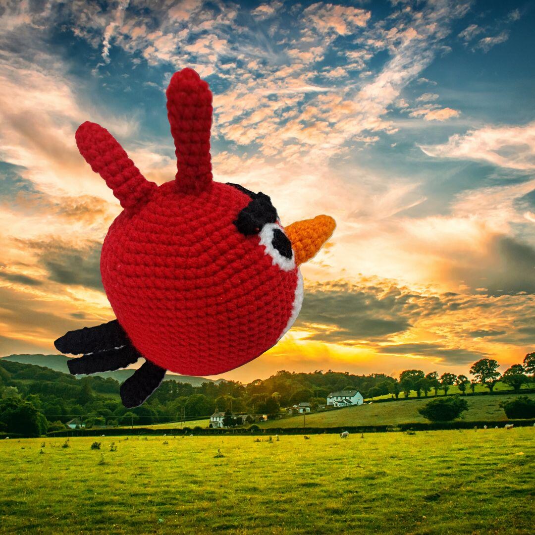 Angry Bird Inspired Amigurumi | Crochet Plush Toy | Handmade Bird ...
