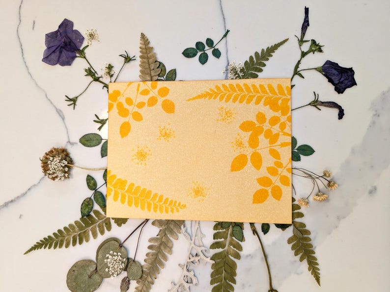 Turmeric Sunprint Kit: Botanical Stencils, Handmade Eco Craft Gift ...