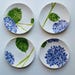 Hydrangea Plates, Small 6” Dessert Plates, Bread Plates - Etsy