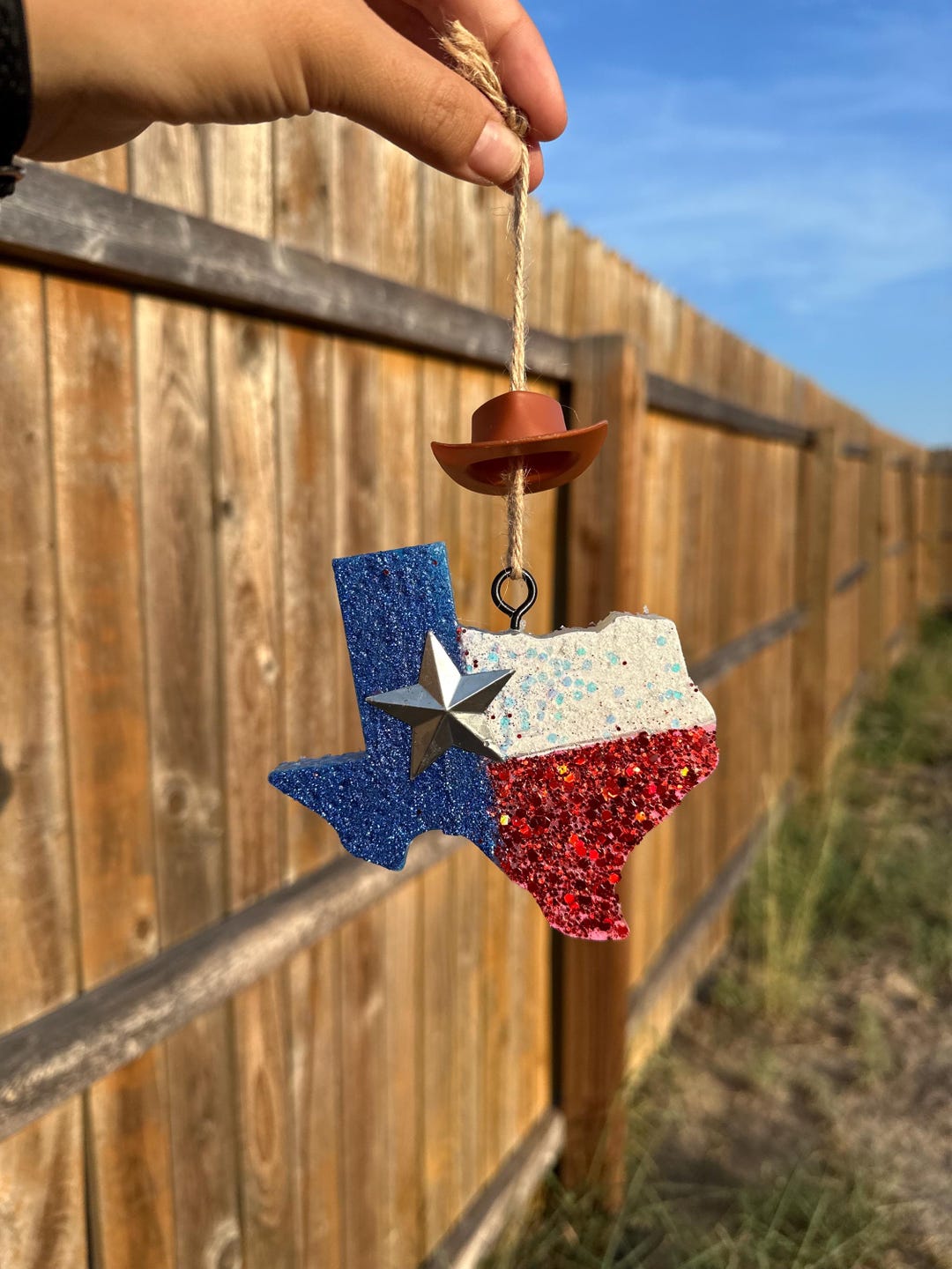 Texas Car Freshie - Etsy