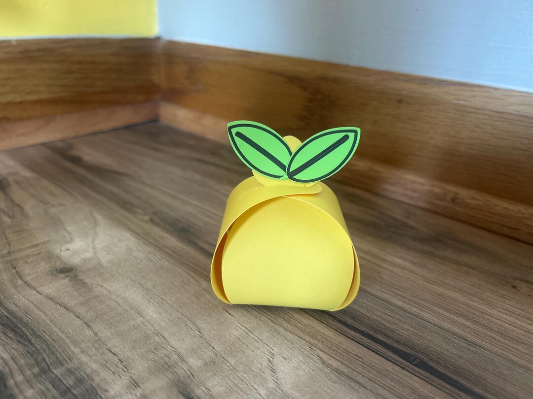 Citrus Gift Box/favor Box - Etsy