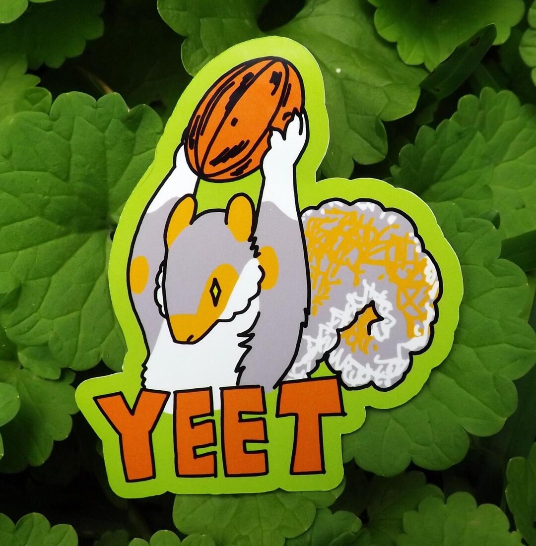 YEET Squirrel Vinyl Die-cut Sticker - Etsy
