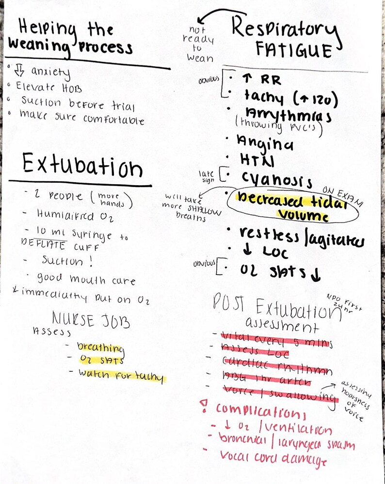 Nursing School Notes - Etsy