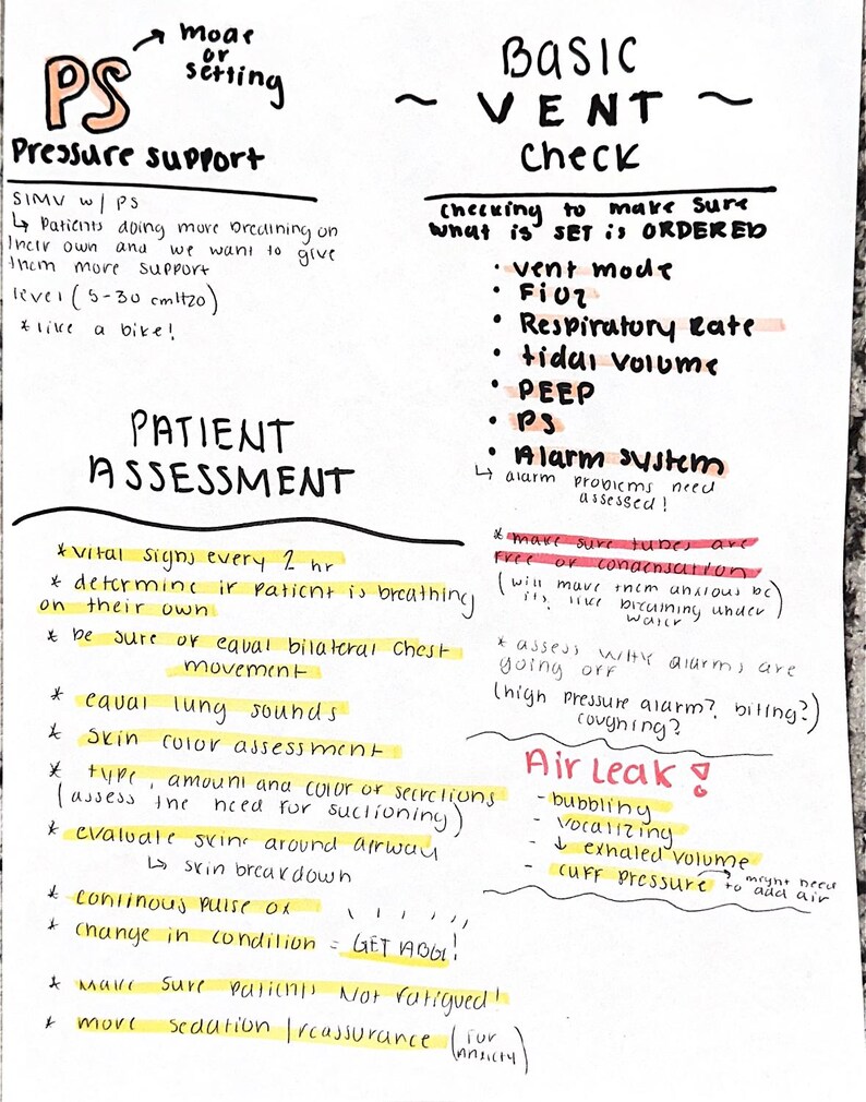 Nursing School Notes - Etsy