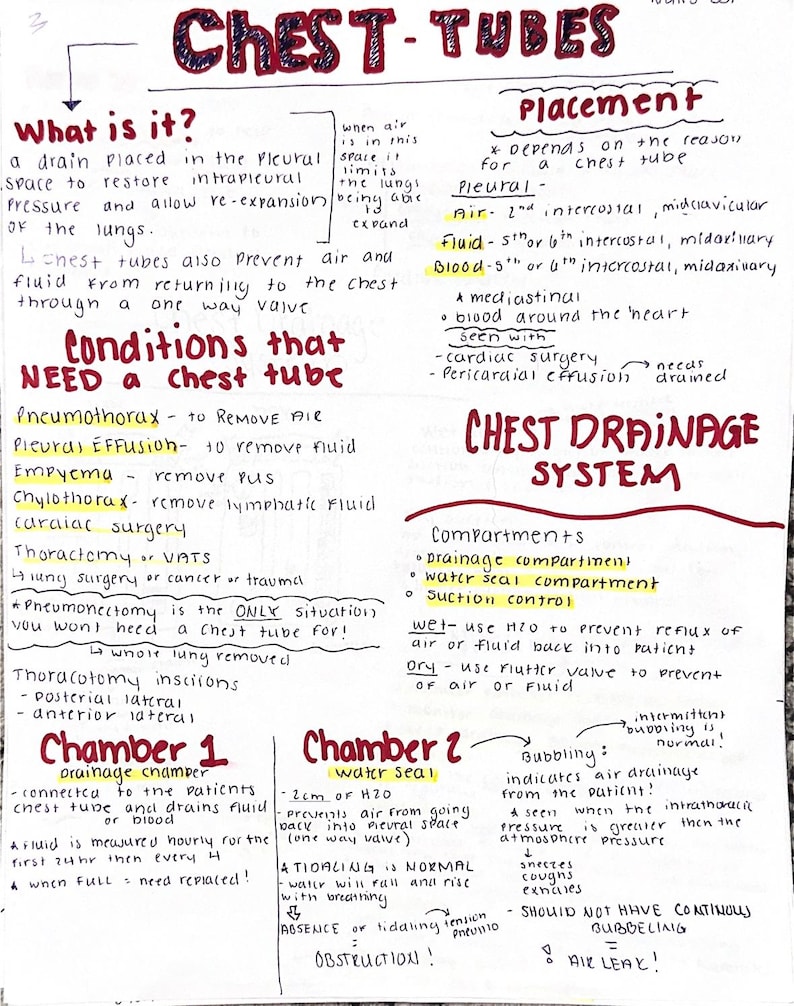 Nursing School Notes - Etsy