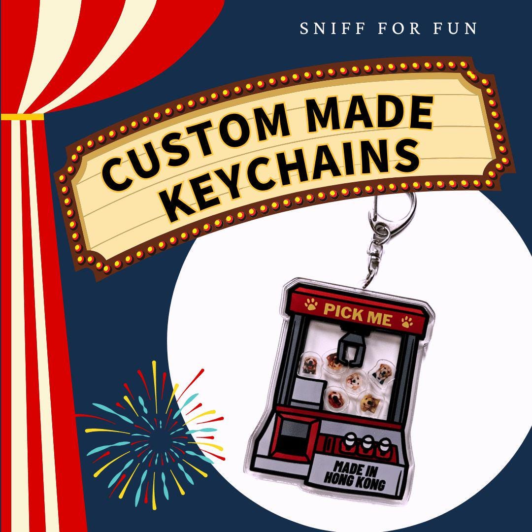 Custom Pet Claw Machine Shaker Keychain | Personalized Acrylic Pet Key ...