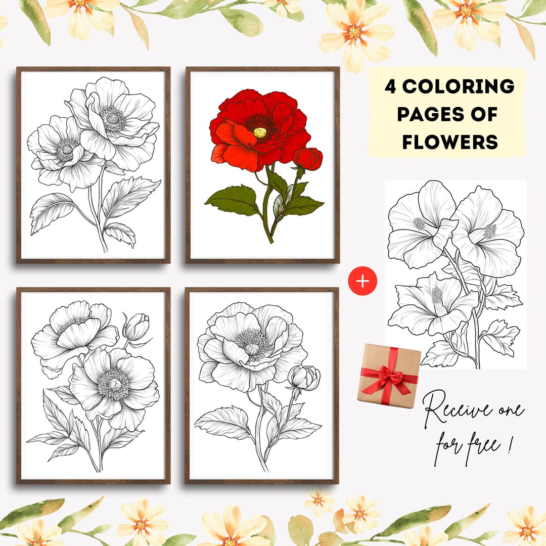 Easy Flower Coloring Pages | Adult Coloring Sheets | 4 Printable Pages ...