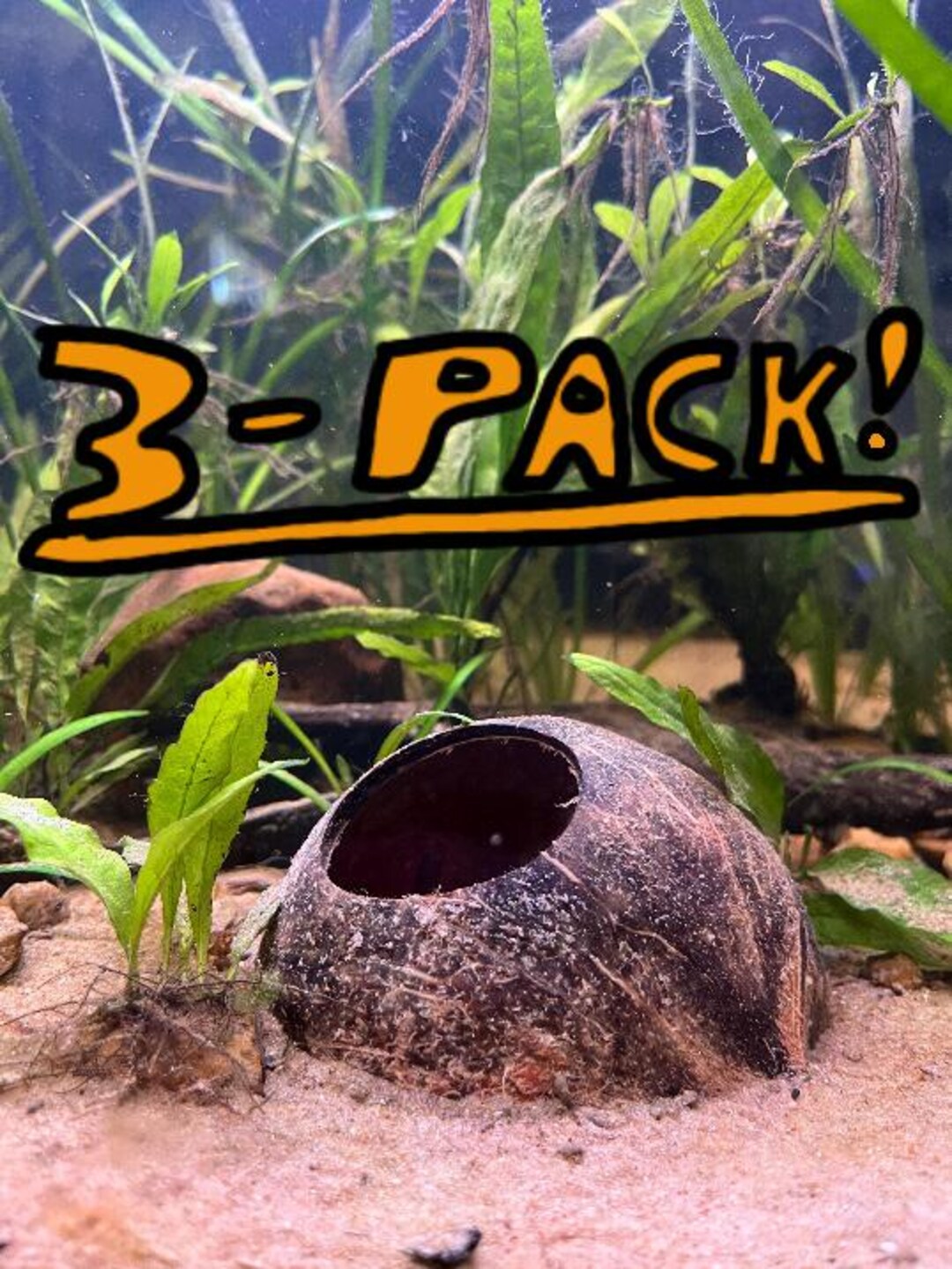 Handmade Natural Coconut Hides: Aquarium & Terrarium Decor. Ideal for ...