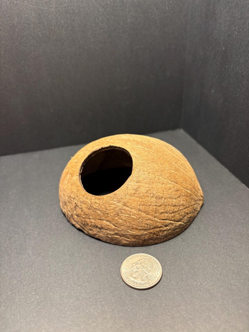 Handmade Natural Coconut Hide: Aquarium & Terrarium Decor. Ideal for ...