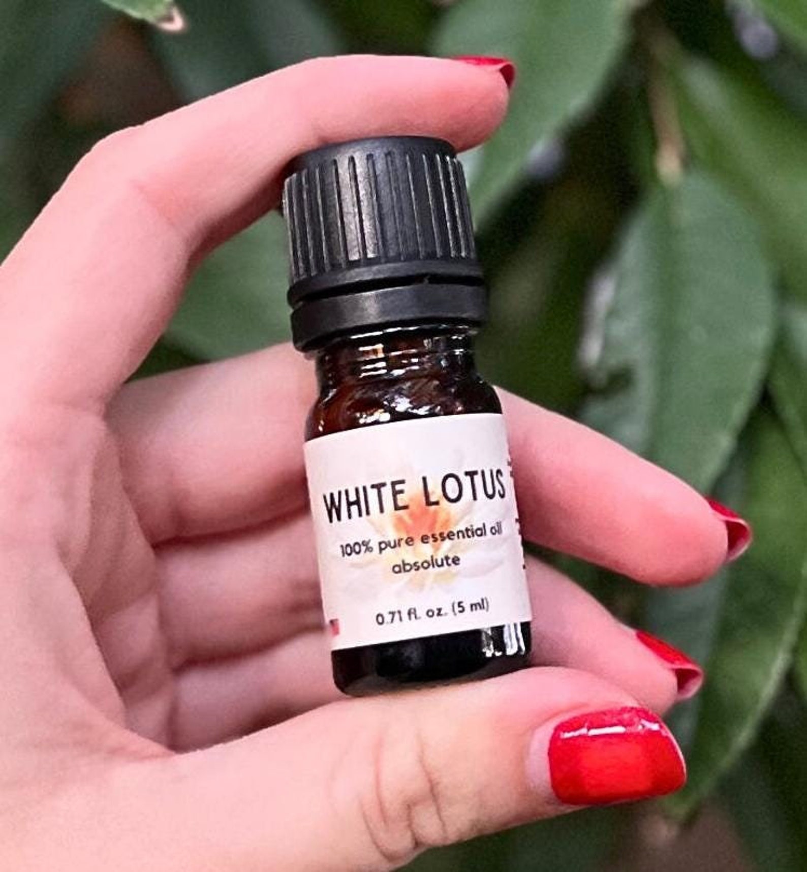 White Lotus Absolute Essential Oil - Pure, Undiluted (5 Ml) - Etsy