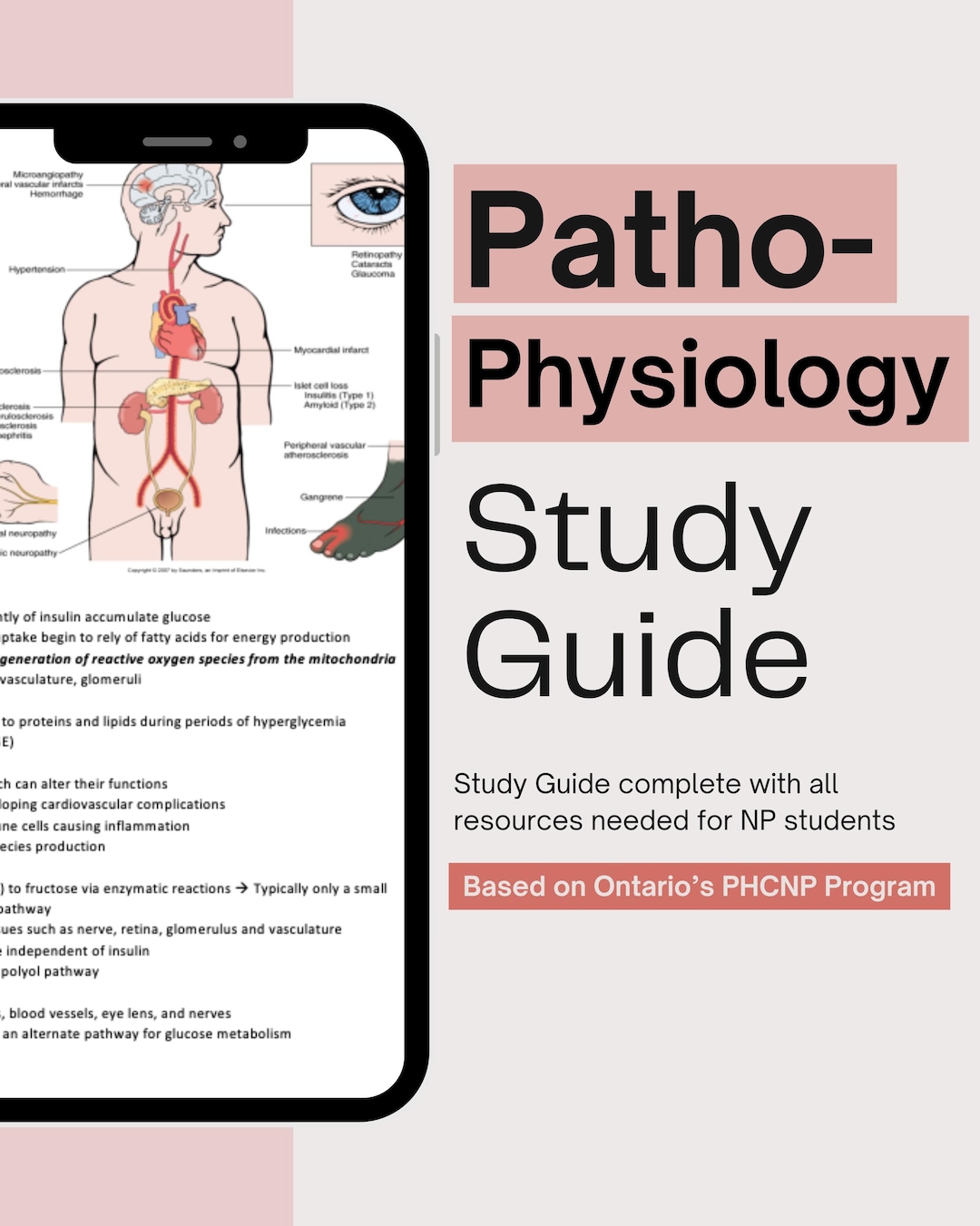Pathophysiology for Nurse Practitioner (NP) Students: Full Study Guide ...