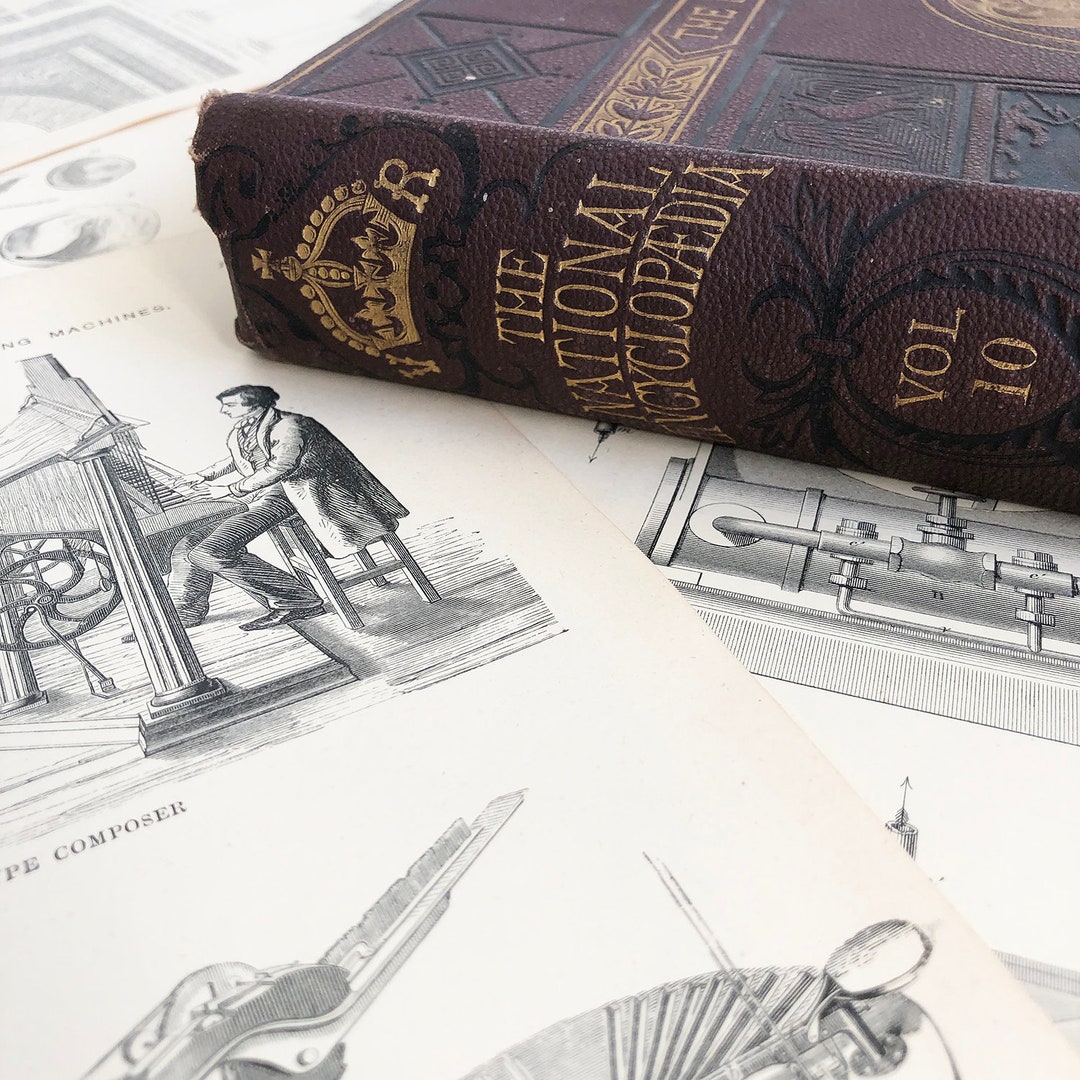 Antique 1880s Encyclopedia Printed Engraving Plate - Illustration of ...