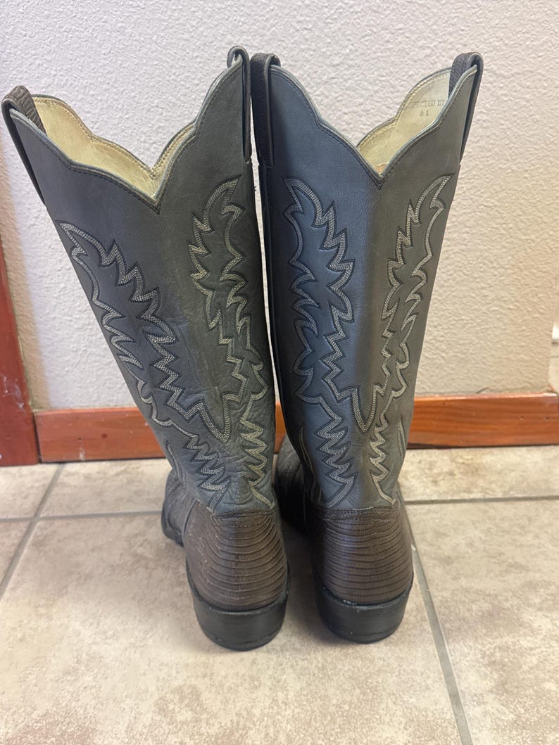 Vintage Bona Allen Lizard Skin Cowboy Boots Men’s 9D Gray & Brown ...