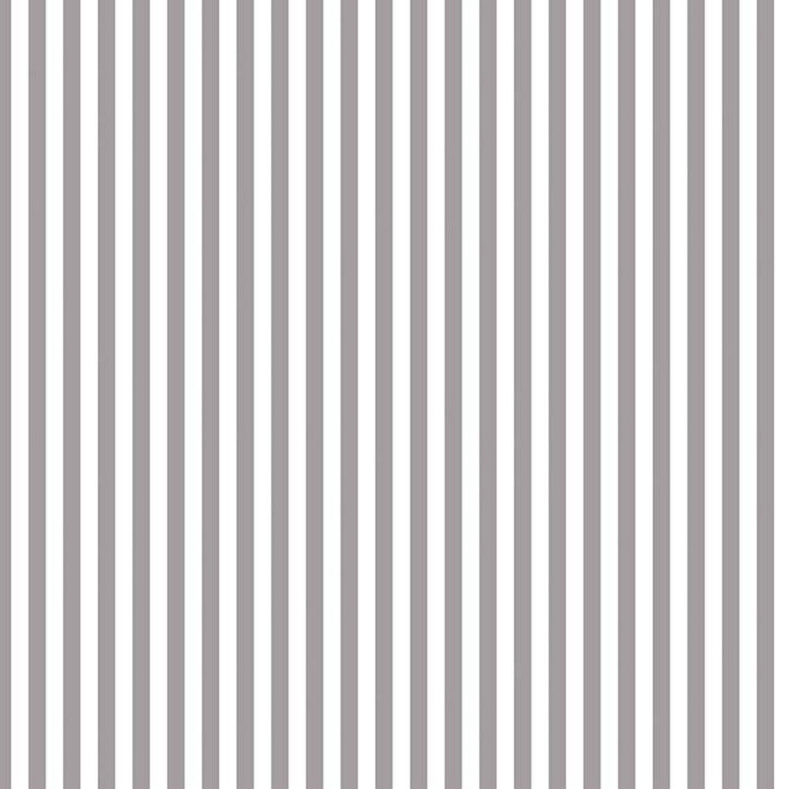 Gray Stripe Fabric Riley Blake Stripes 1/4 Gray and | Etsy