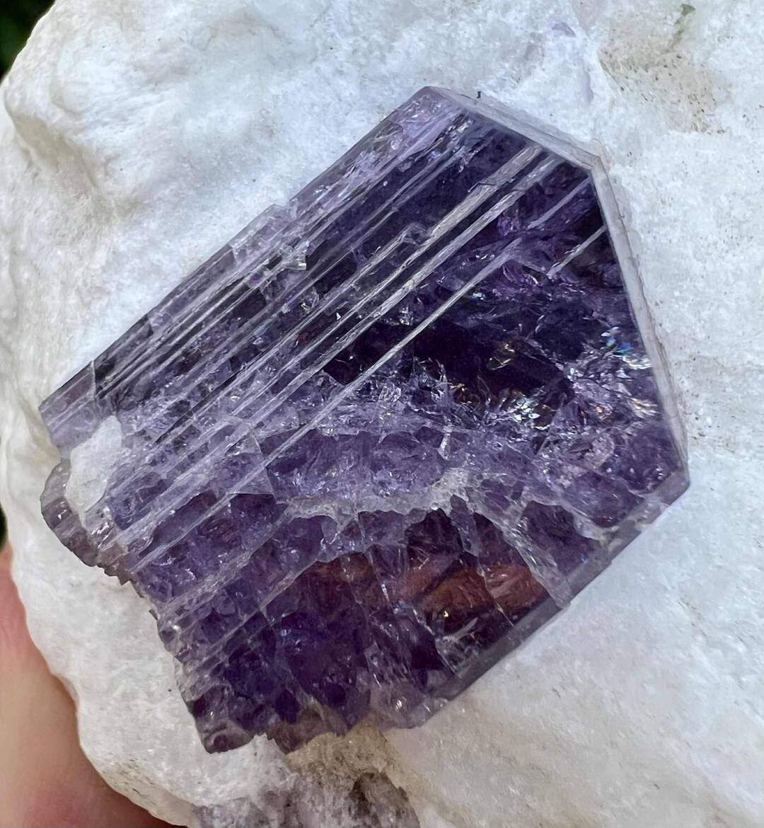 Terminated Violet Purple Scapolite Huge Crystal on Matrix Specimen 235 ...