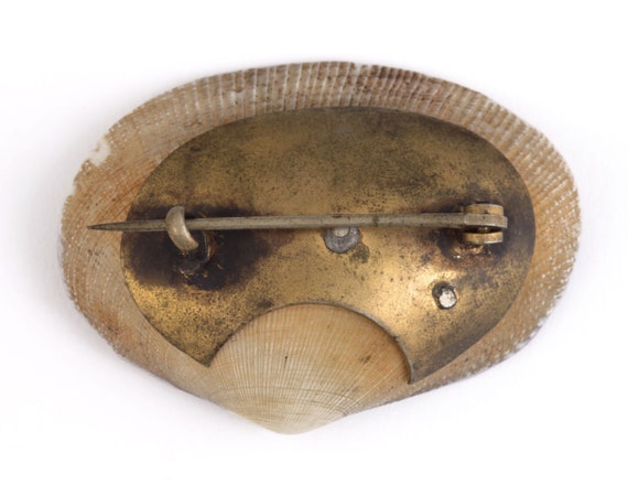 Antique Victorian Real Clam Sea Shell Brooch Pin w/ G… - Gem