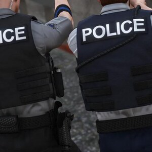 Fivem Guardian Load Bearing Vest Eup | Instant Download - Etsy UK