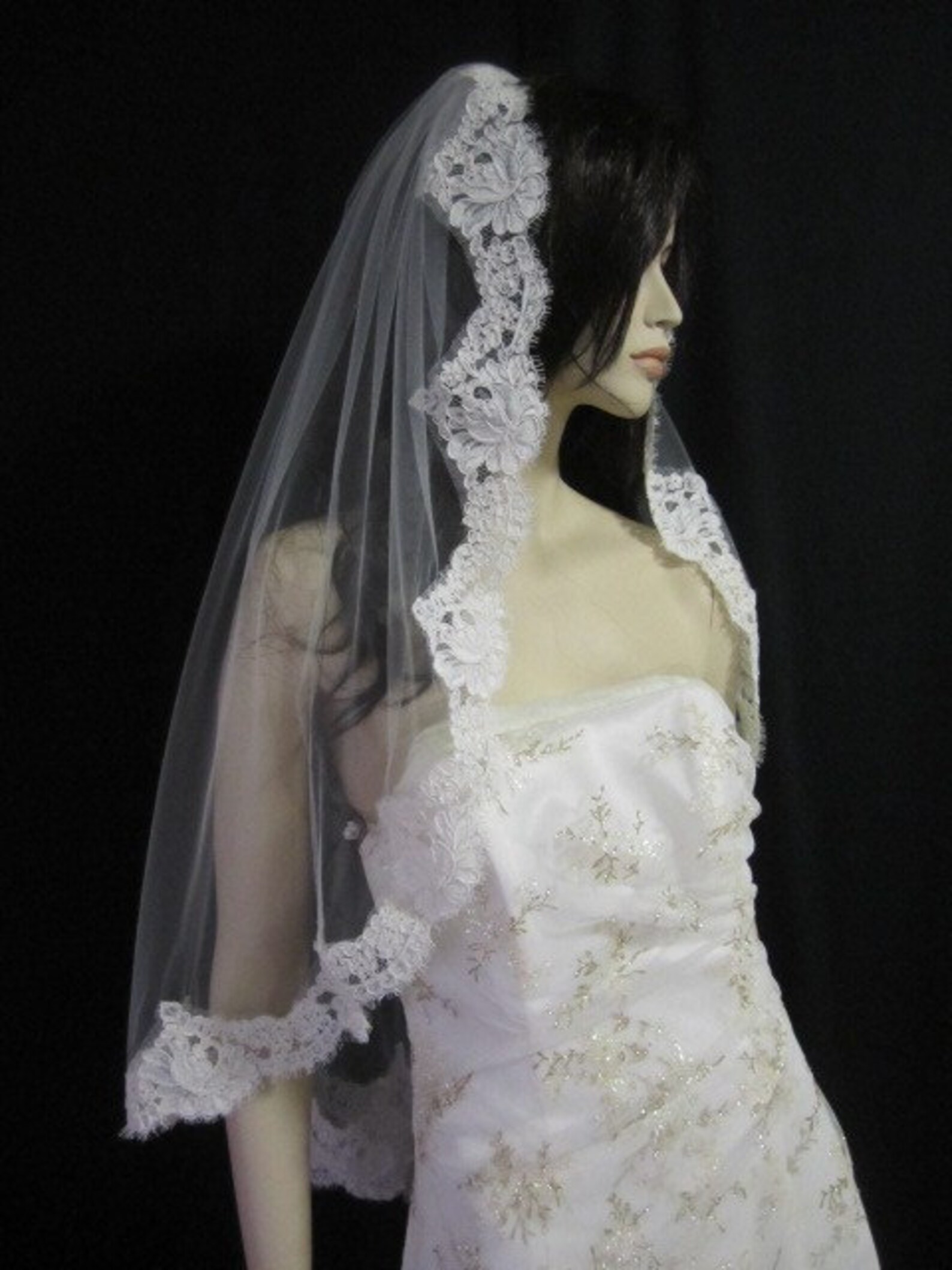 Lace veil bridal veil wedding veil with 4 inch Alencon lace | Etsy