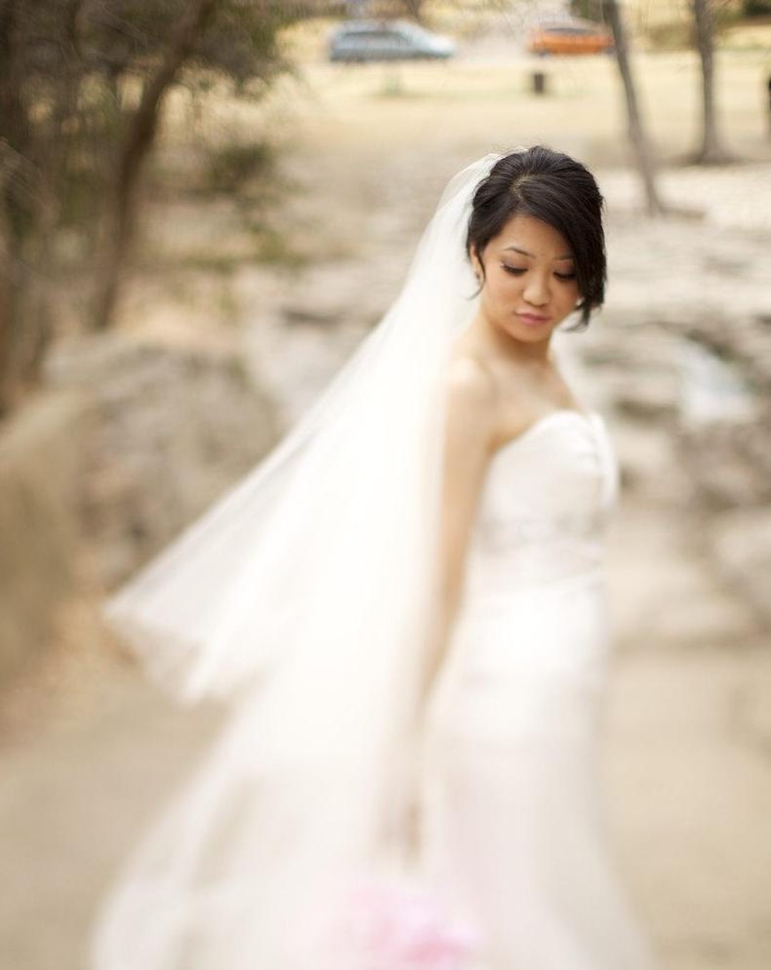 120 Inch 2 Tier Circular/drop Cathedral Veil, Chapel Veil Waltz Veil ...