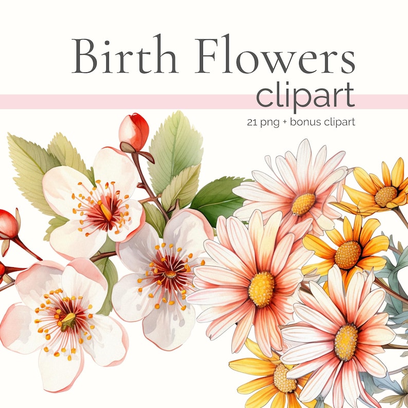 Birth Flower Clipart, Birth Month Flower PNG, Birthflower Clip Art ...