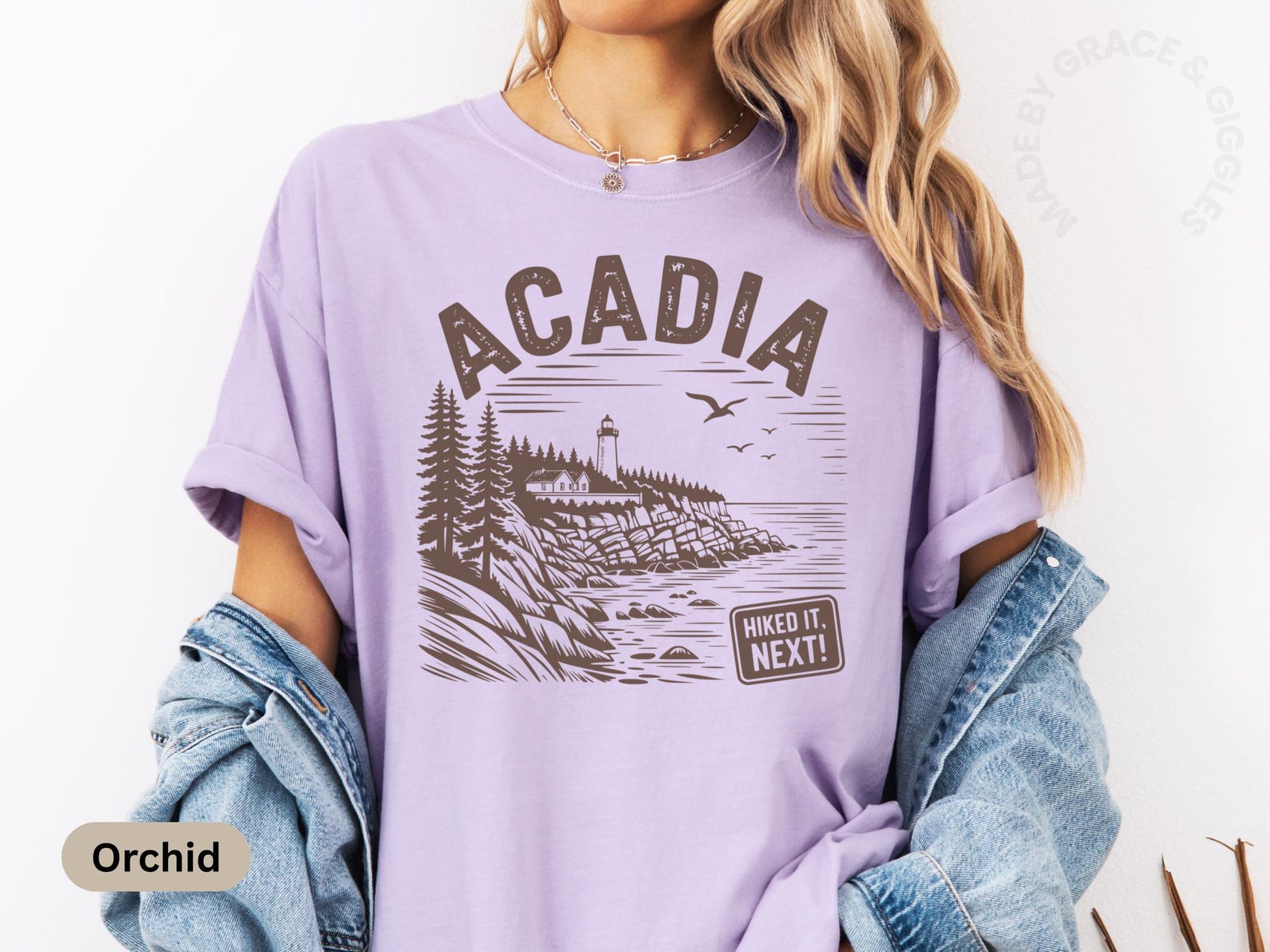 Comfort Colors Acadia National Park Vintage Shirt, Maine Hiking Tee ...