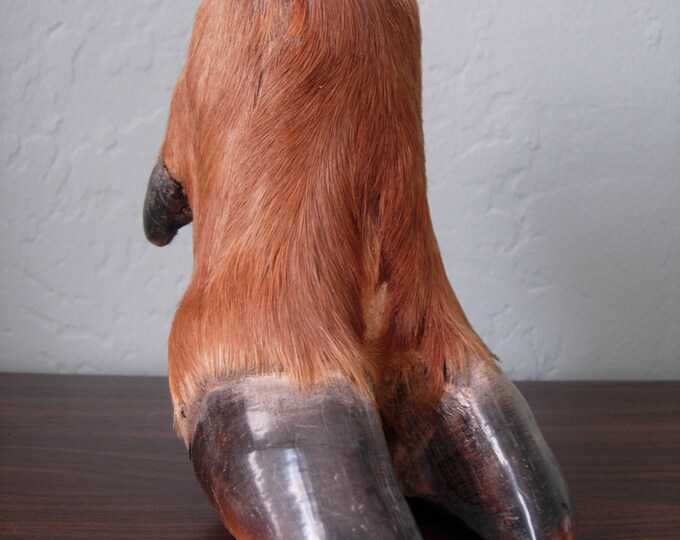 Antique Elk Hoof Ashtray - Etsy