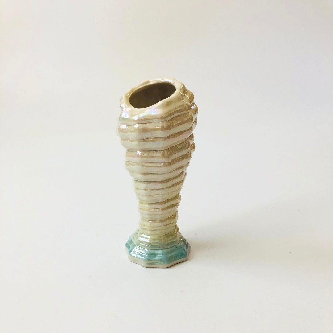 Iridescent Ceramic Shell Vase - Etsy