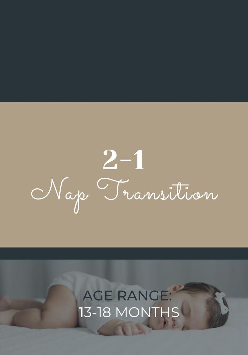 Nap Transition Guide Newborn to 4 Years Wake Windows + Schedules + Nap ...