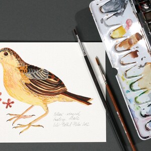 Woodland Bird, Gift for Her, Watercolor Bird Art, Bird Illustration ...