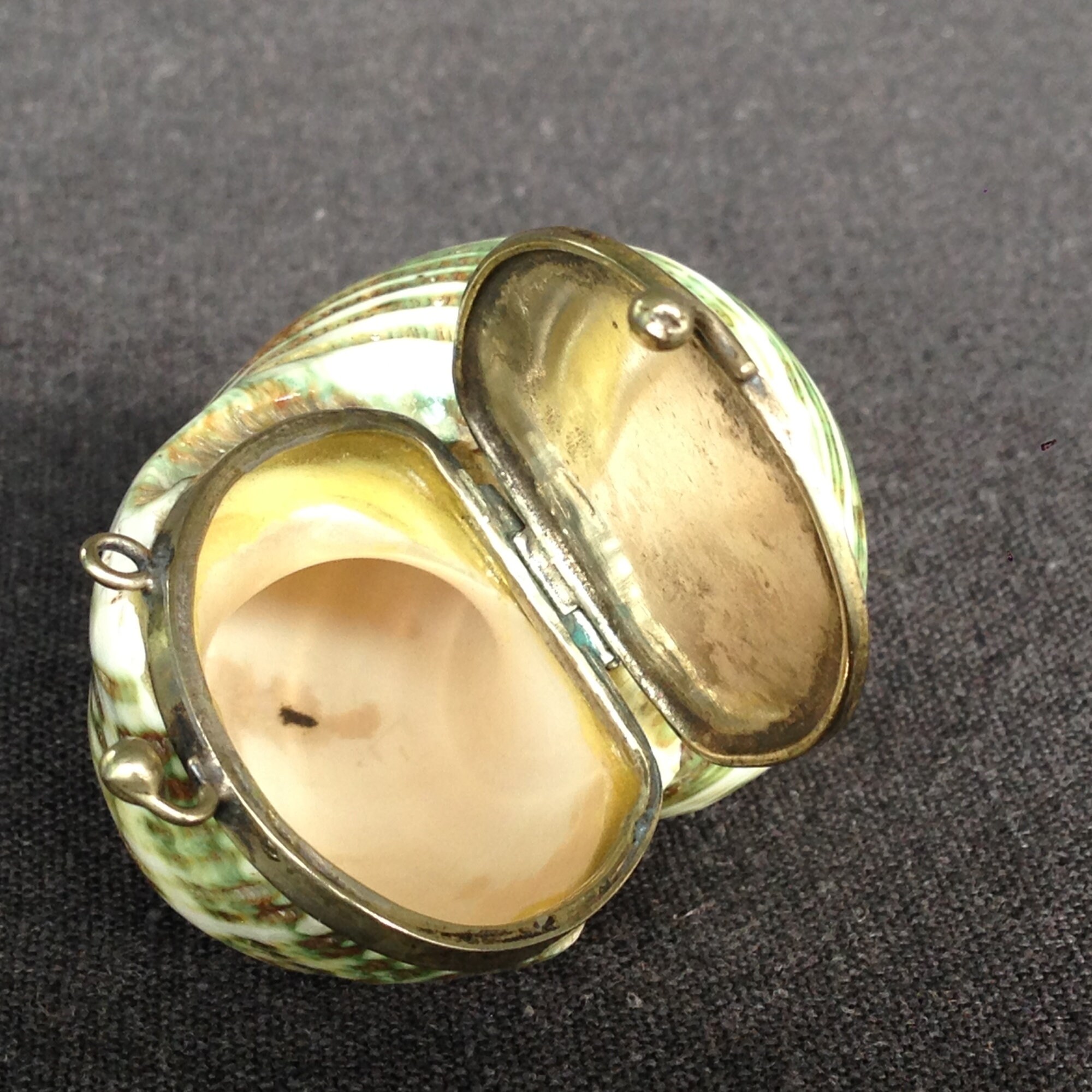 Antique Seashell Coin Purse or Little Retro Secret Case - Etsy