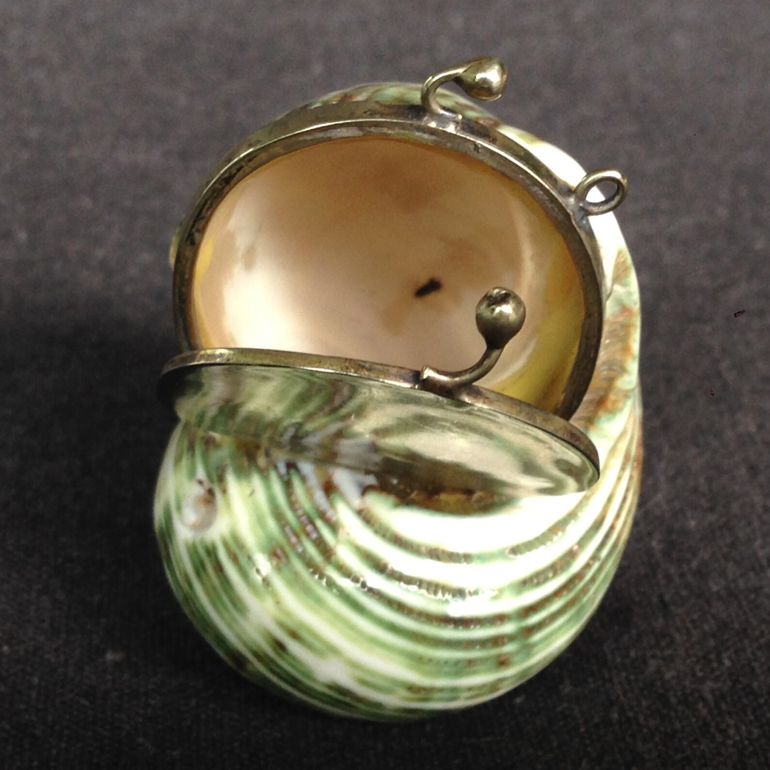 Antique Seashell Coin Purse or Little Retro Secret Case - Etsy