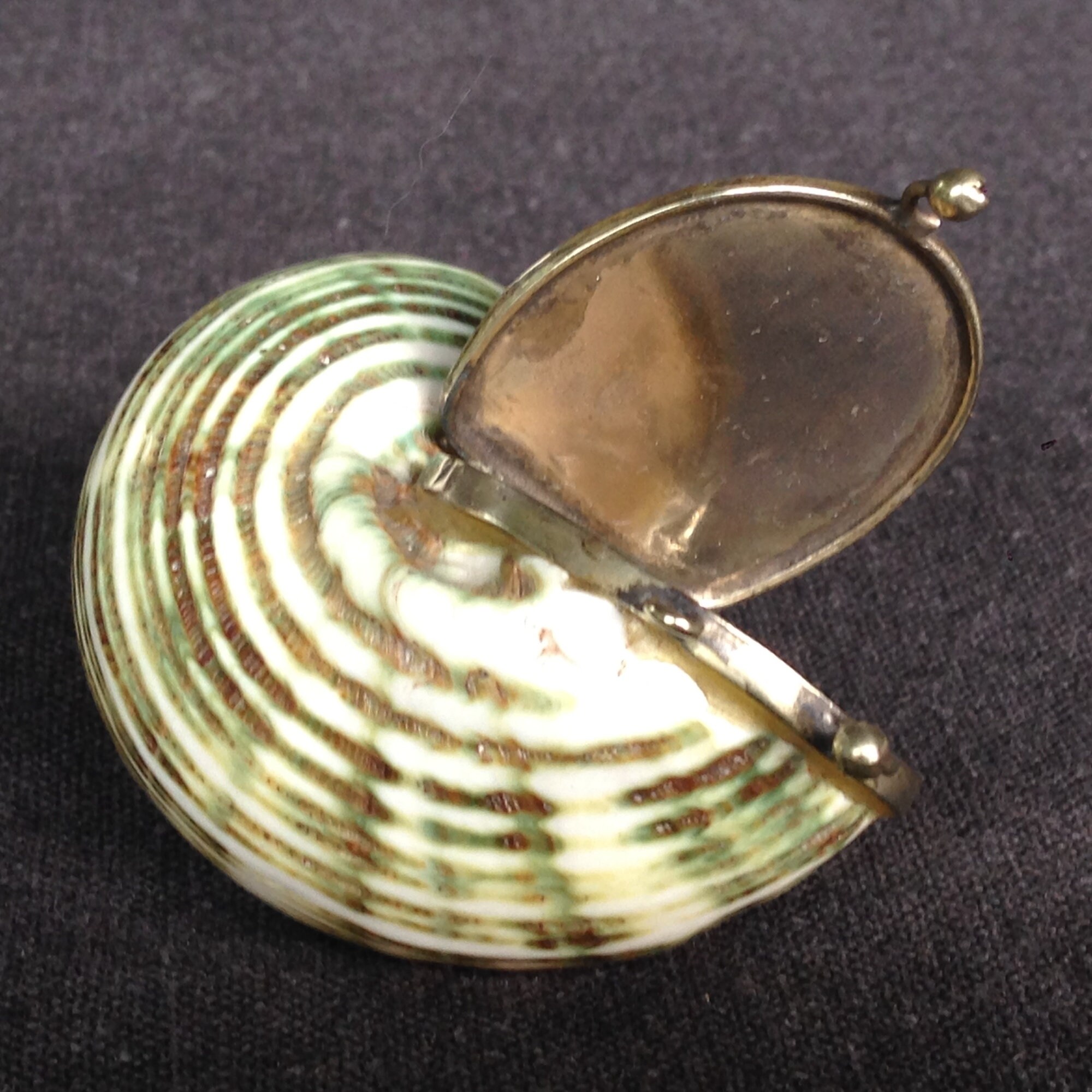 Antique Seashell Coin Purse or Little Retro Secret Case - Etsy