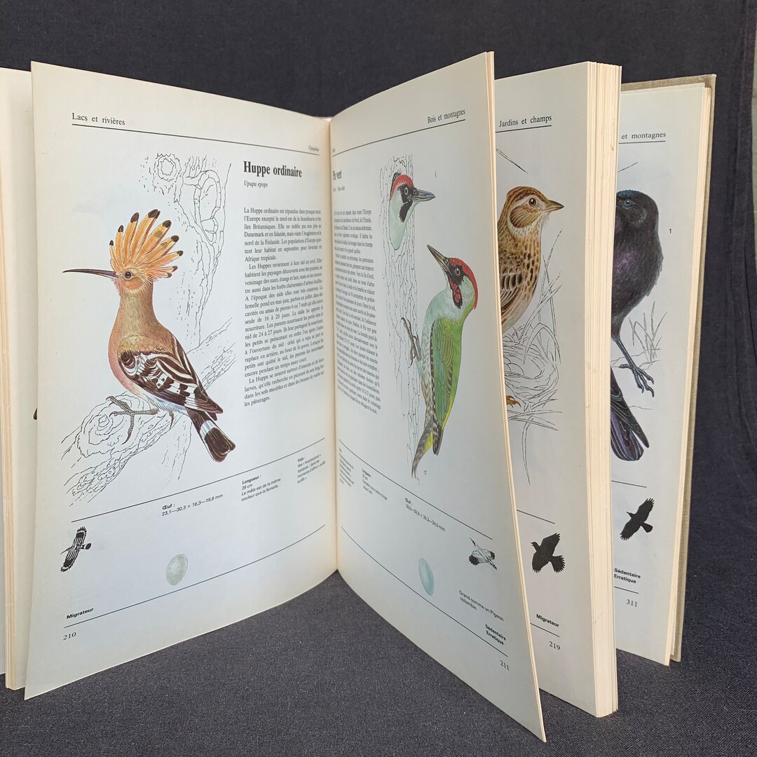 Vintage Birds French Reference Book. Beautiful Retro Color Drawn ...