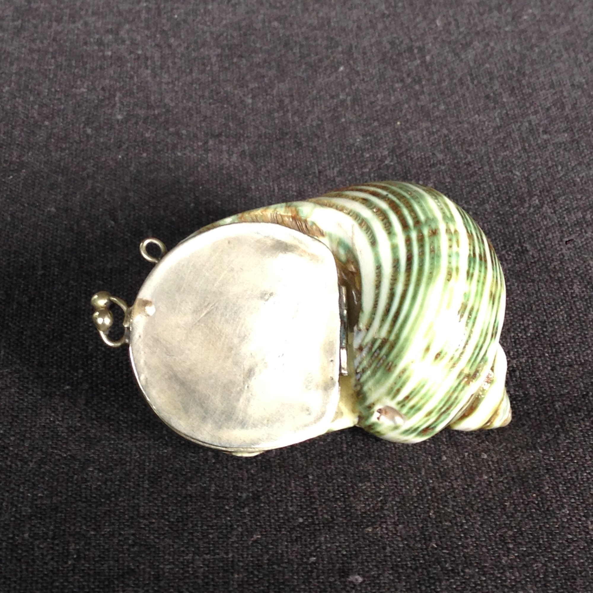 Antique Seashell Coin Purse or Little Retro Secret Case - Etsy
